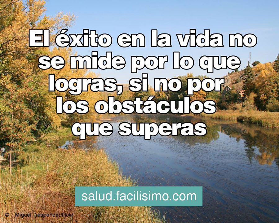 El éxito en la vida no se mide por lo que logras, sino por los ...